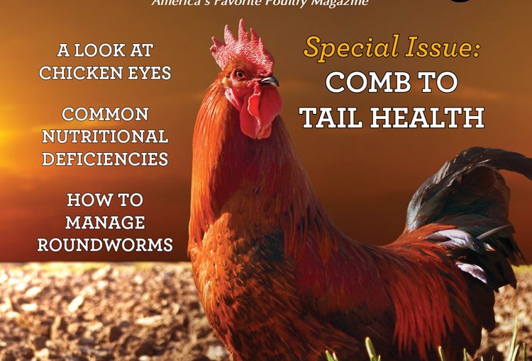 Magazine Previews Archives - Page 2 of 3 - Backyard Poultry